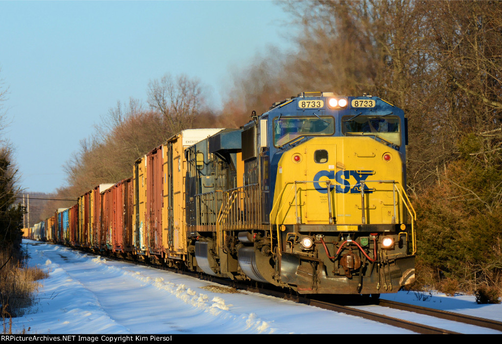 CSX 8733 Q439